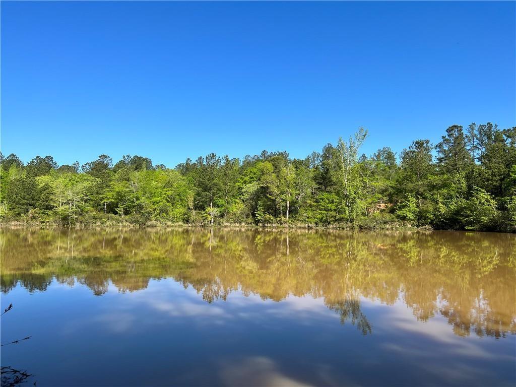 7107 US-221 Stapleton, Georgia 30823 - TotalCommercial.com